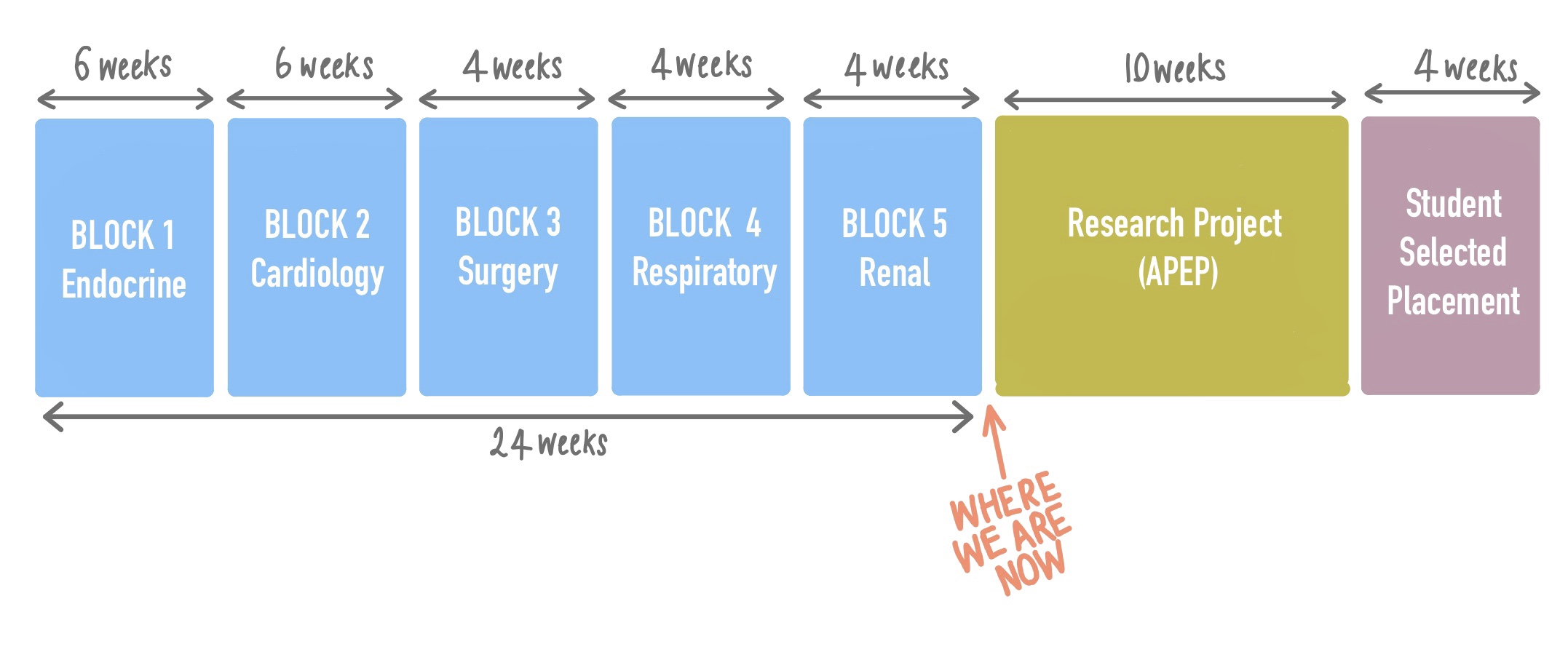 3rd Year of Medical School…check – Life of a Medic