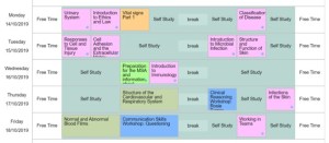 What’s it Really Like To Study Medicine at St Andrews Medical School ...
