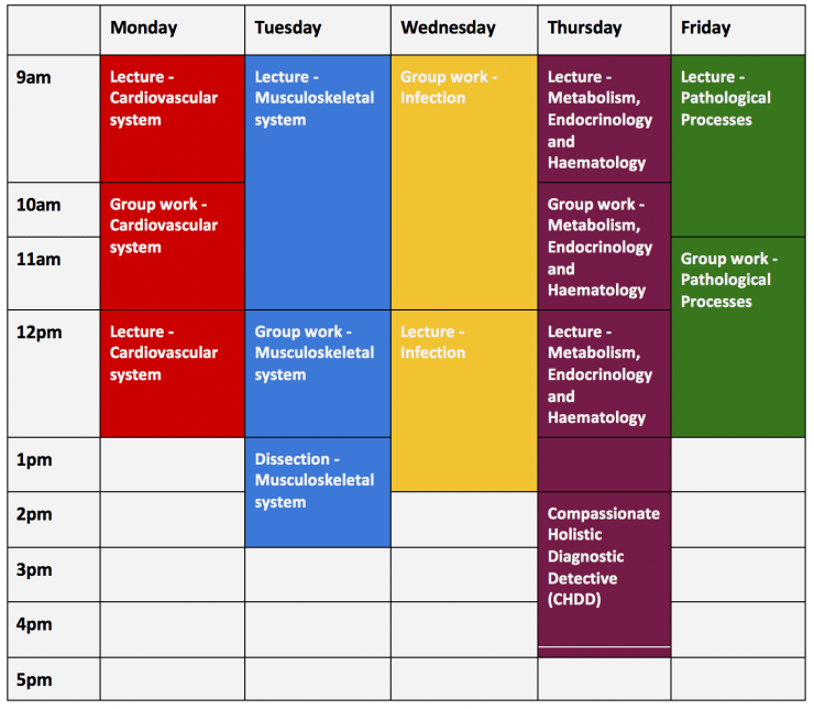 What’s it Really Like To Study Medicine at Leicester Medical School ...