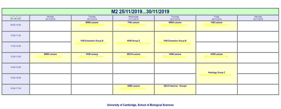 What’s it Really Like To Study Medicine at Cambridge Medical School ...