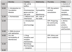 What’s it Really Like To Study Medicine at UCL Medical School? – Life ...