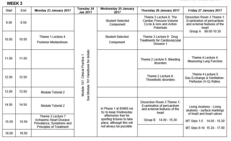 What’s it Really Like To Study Medicine at Brighton and Sussex Medical ...