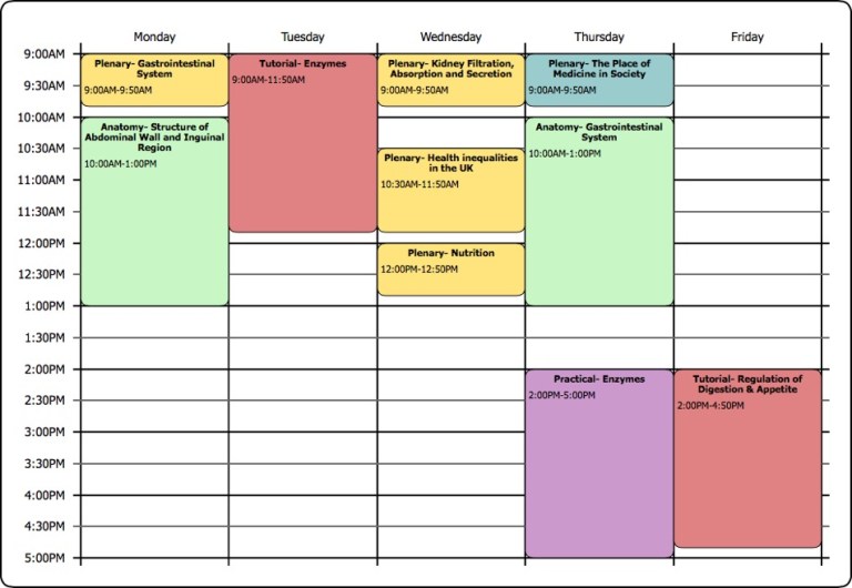 What’s it Really Like To Study Medicine at Cardiff Medical School ...