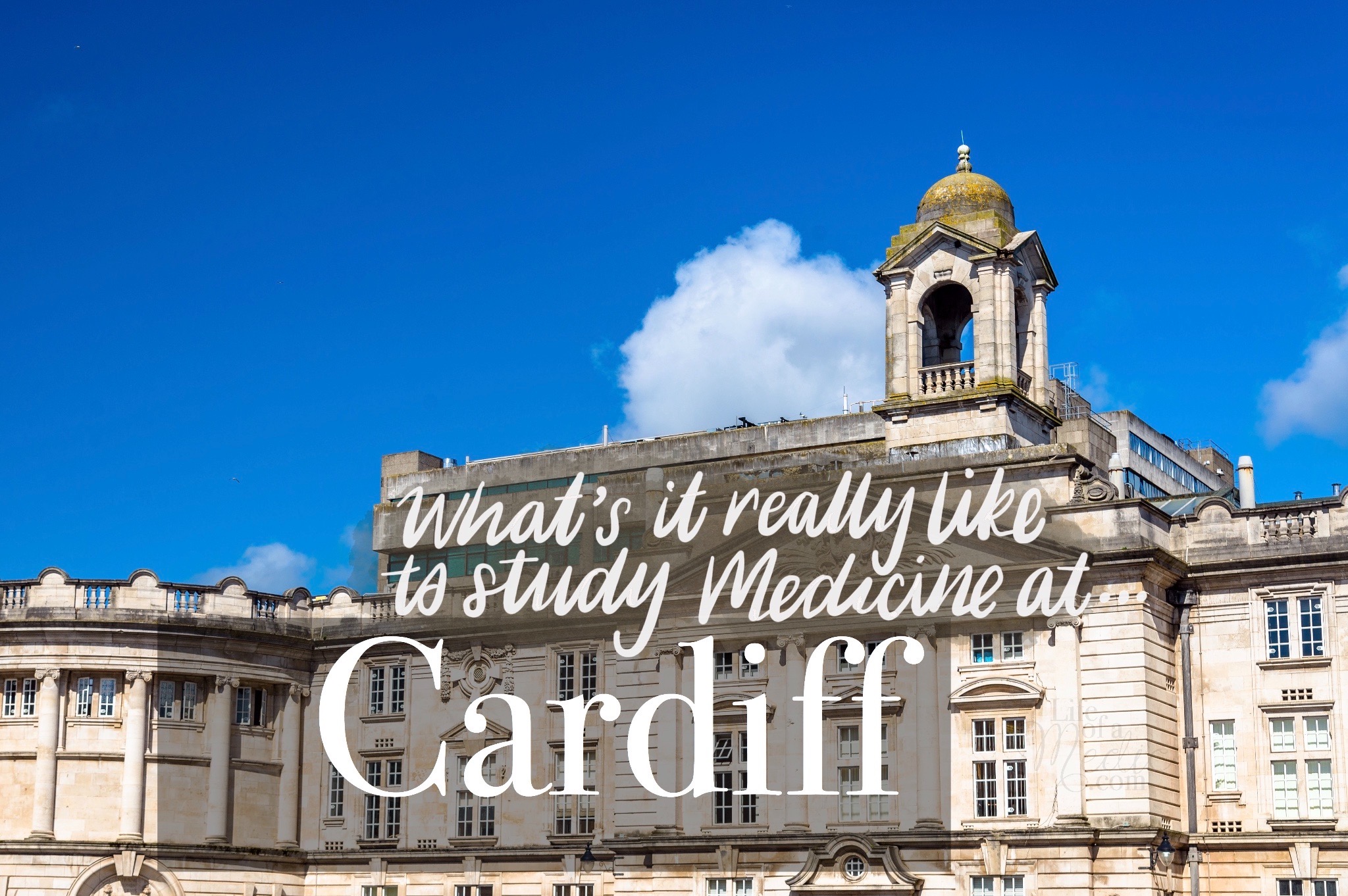 What’s it Really Like To Study Medicine at Cardiff Medical School ...