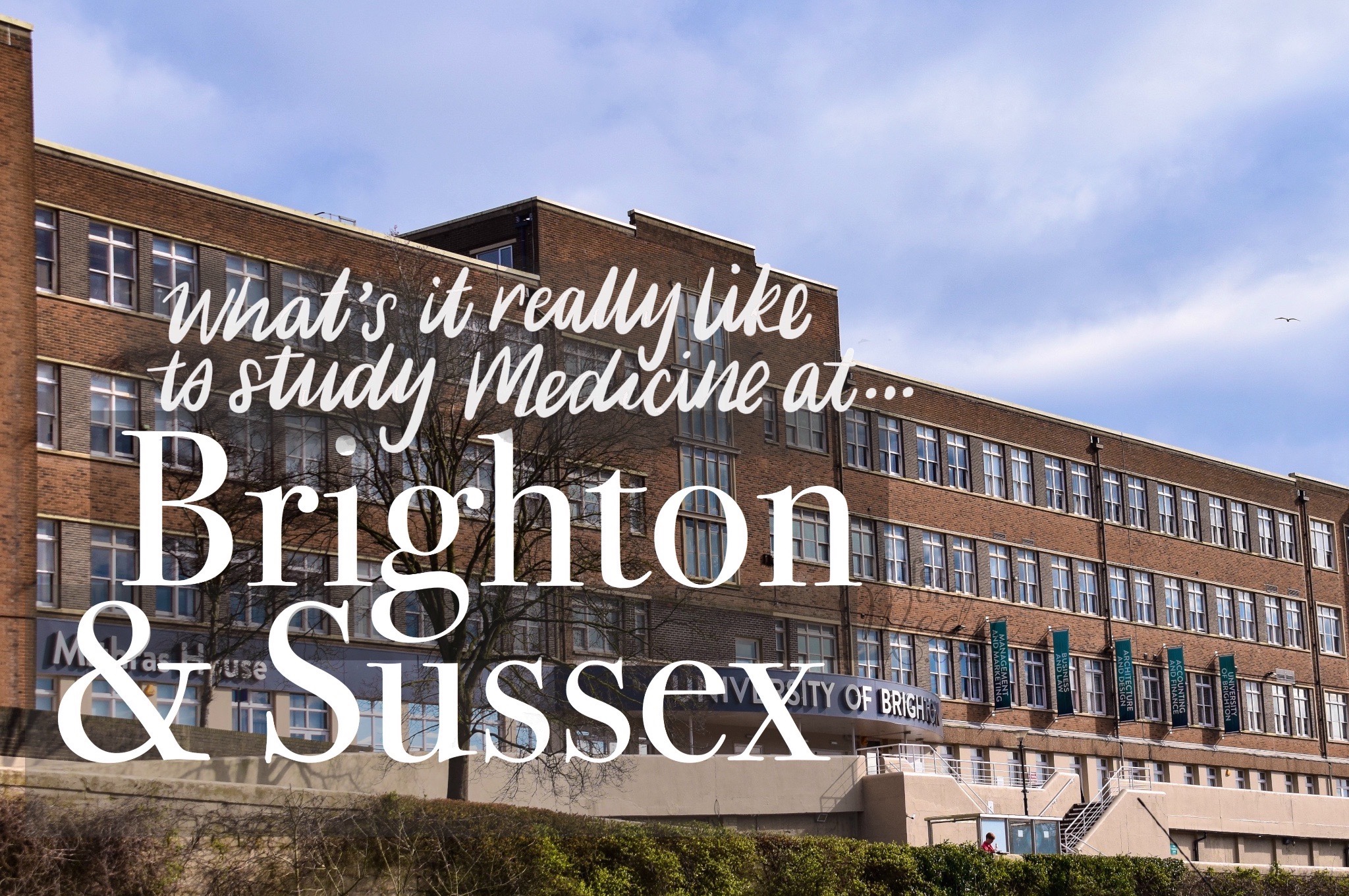 What’s it Really Like To Study Medicine at Brighton and Sussex Medical ...